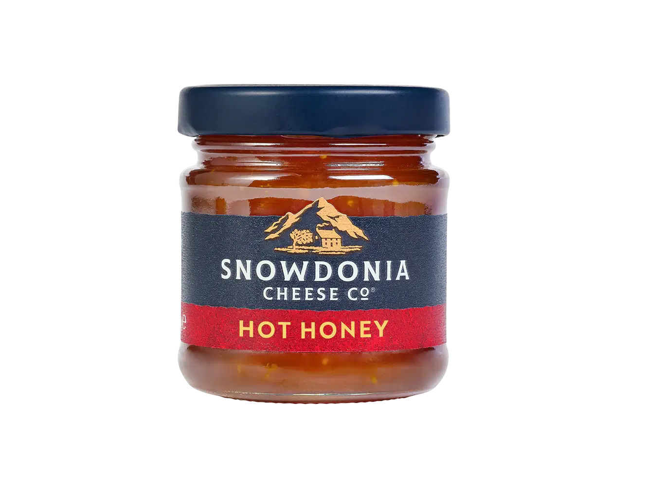 Snowdonia Hot Honey Chutney 114g